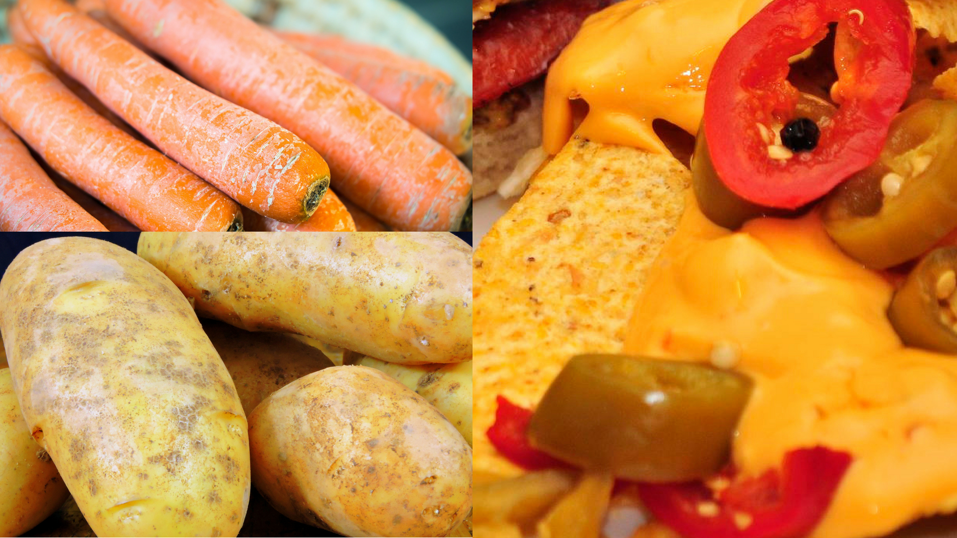 Bonus Recipe: Vegan Cheese Sauce (no oil) - EmBee Lifestyle Docs